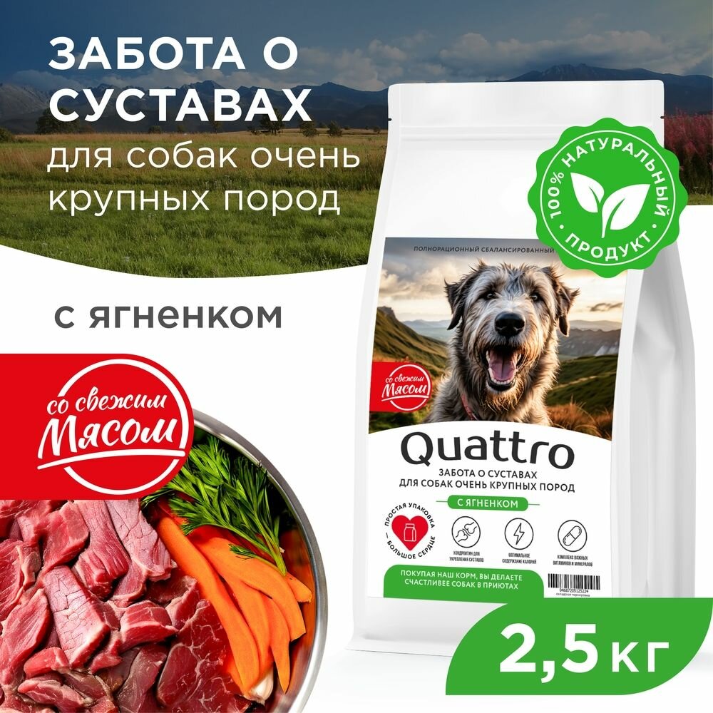 Quattro корм для взрослых собак очень крупных пород, забота о суставах, с ягненком 2,5 кг