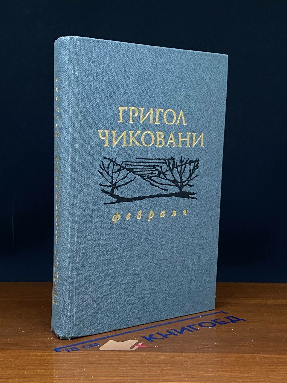 Книга. Февраль 1985 (2042541982870)