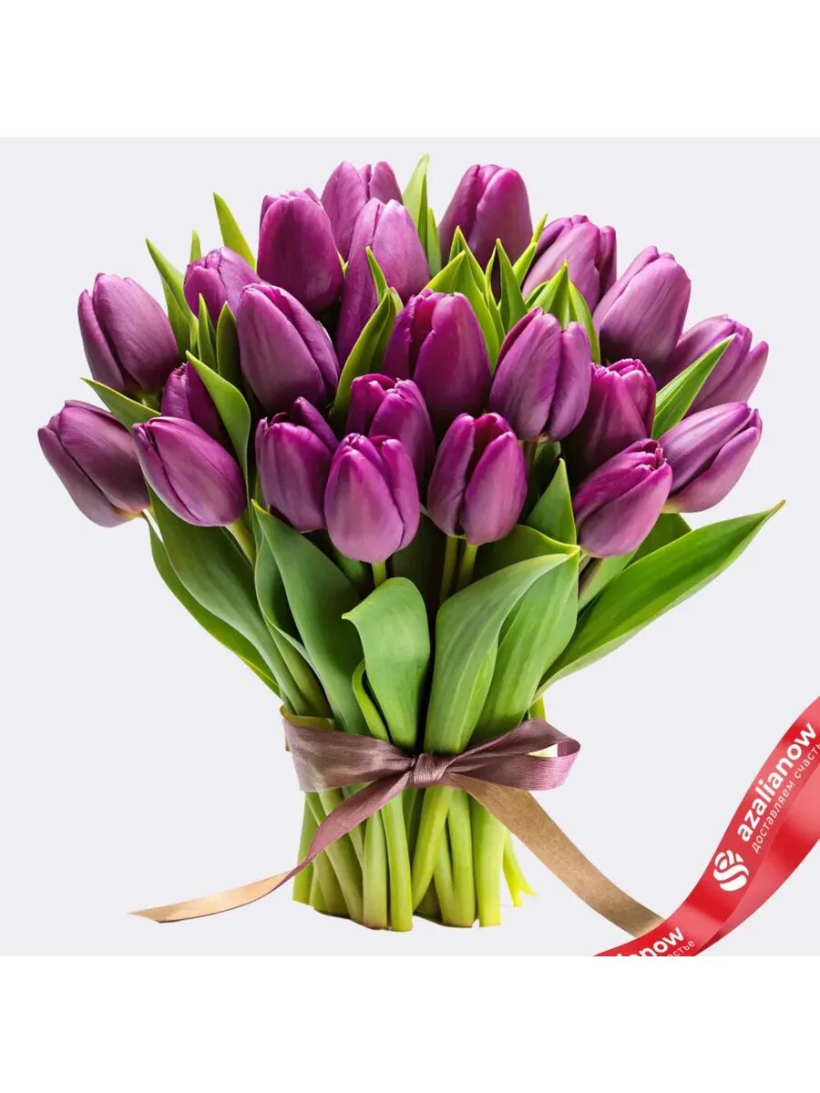 Букет из 33 фиолетовых сортовых тюльпанов