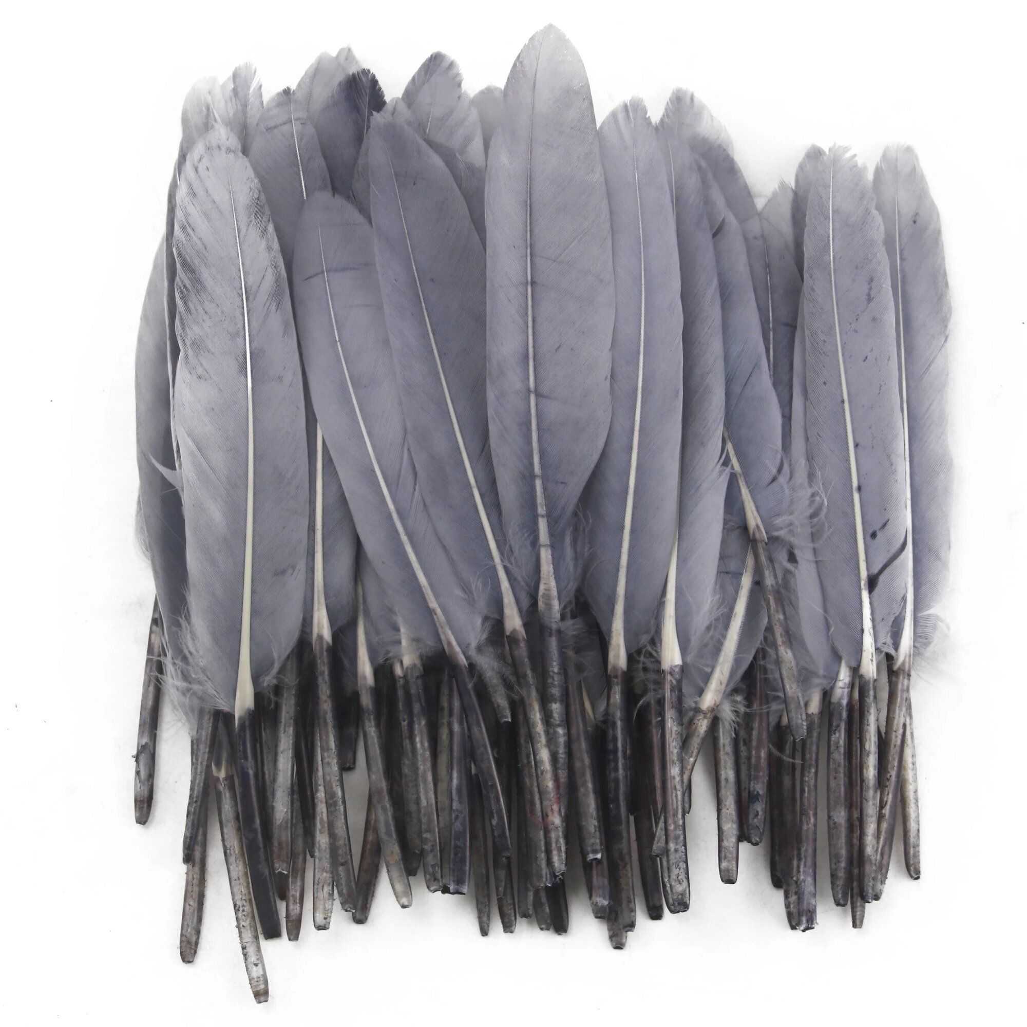 Карнавальные перья INSOMNIA STAR, гусиное перо, 100 шт. Серый, gray