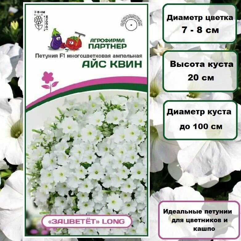 Семена петуния Айс Квин многоцветковая ампельная / серия Зацветёт / фирма Партнер 1 шт