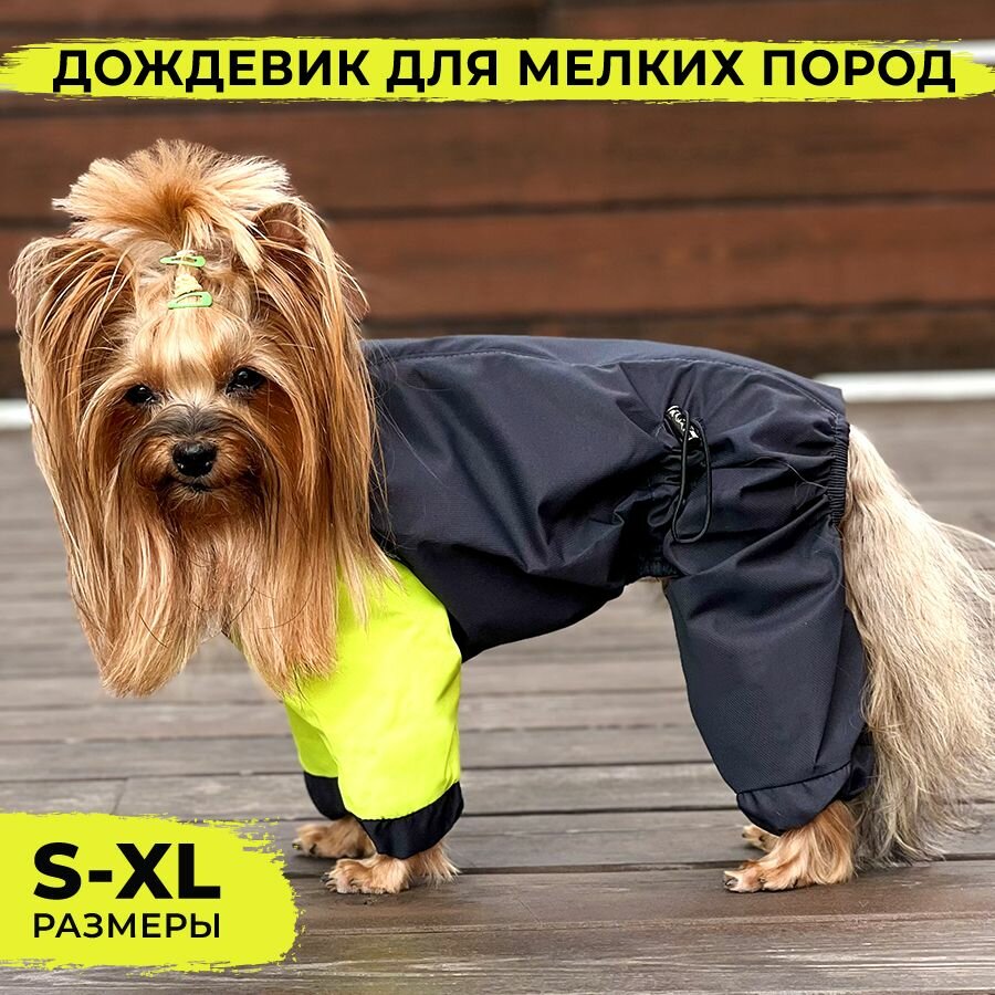 Одежда для животных