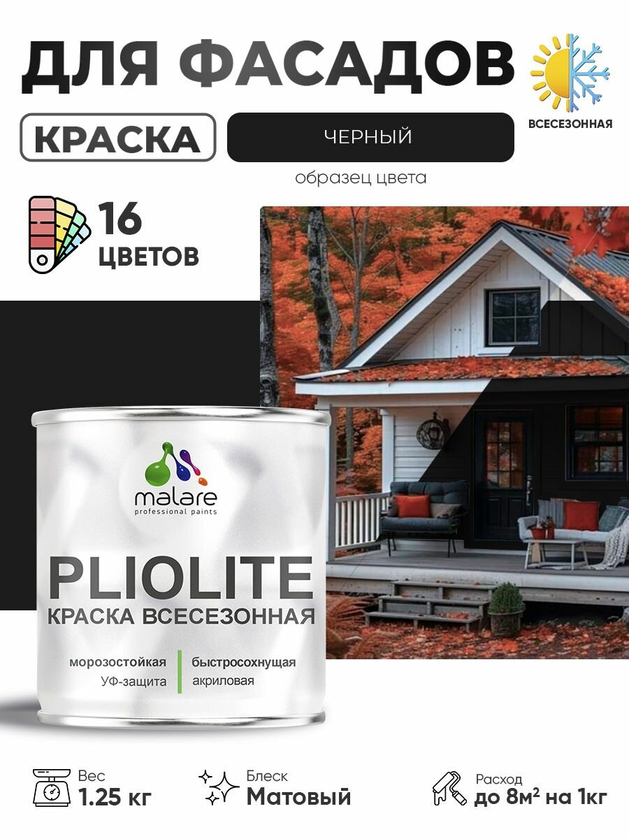 Краска-эмаль Pliolite всесезонная, зимняя, для всех типов поверхностей, антикоррозионная, RAL 9005, черный, матовая, 1,25 кг.