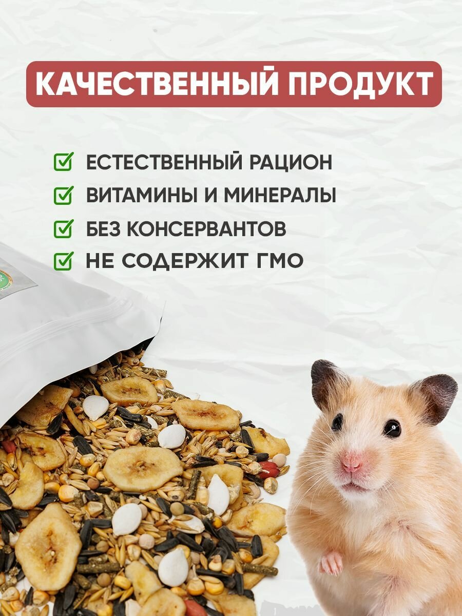 Корм GRAND FEED, ассорти, для хомяков, карликовых грызунов, 1500 г — фото 1