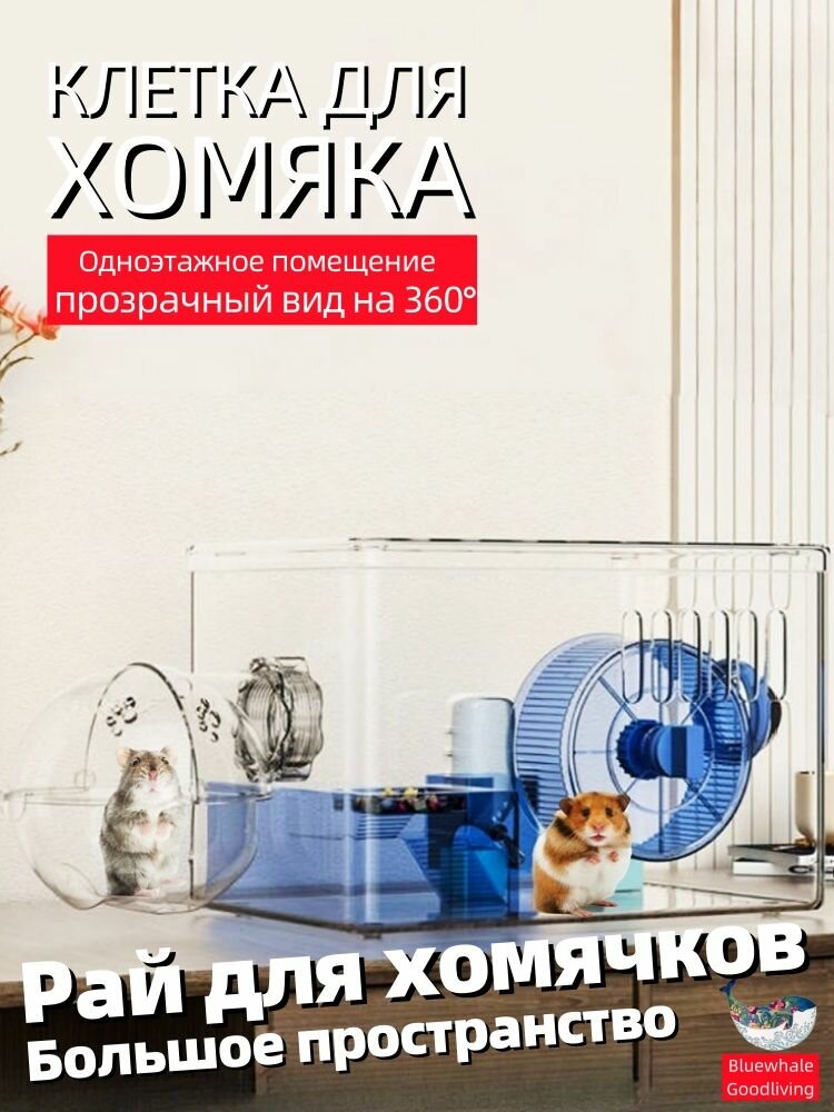 Клетка для хомяка. Прозрачная смотровая клетка для домашних животных. Подходит для хомяков и мелких грызунов. Однослойный/синий. Подарок для друга.