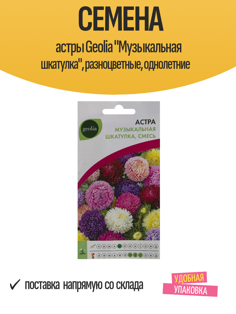Семена астры Geolia "Музыкальная шкатулка", разноцветные, однолетние