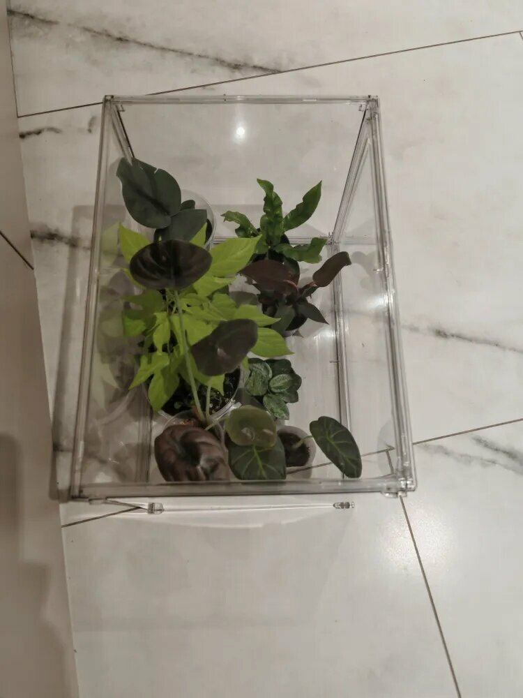 Парник, теплица прямостенная rhrehre 0.37х0.27х0.23м, ABS пластик