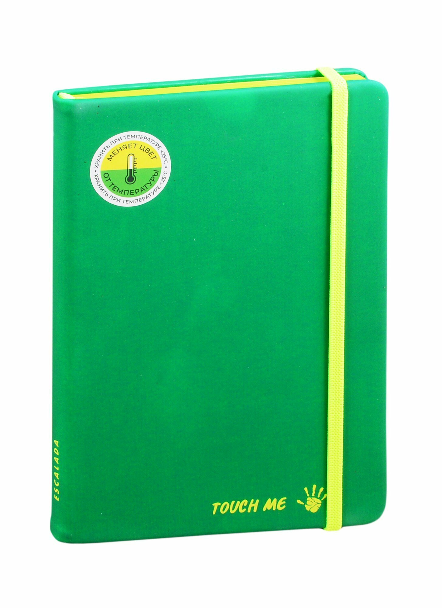 Книга для записей А5 96л кл. "Термо" зелен. тв. переплет, резинка, ляссе, инд. уп.