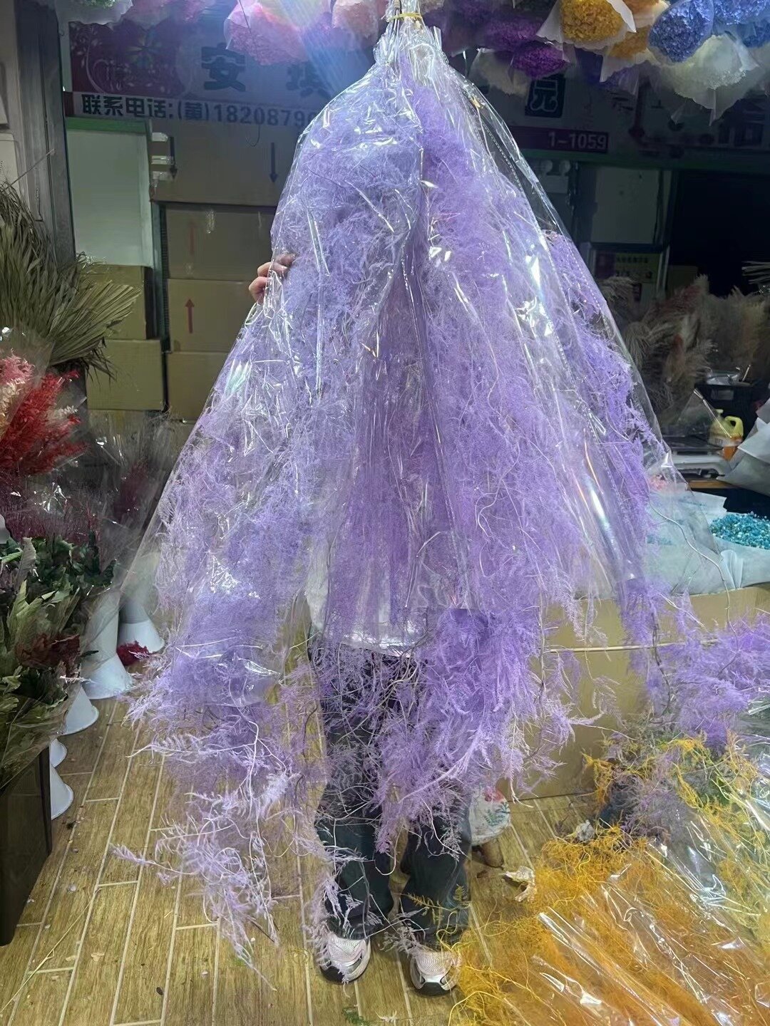 2025 Вечный цветок аспарагус, сушеный цветок, настоящий цветок, домашний декор, свадебная композиция, мягкий декор, флористическое искусство, прессованный цветок