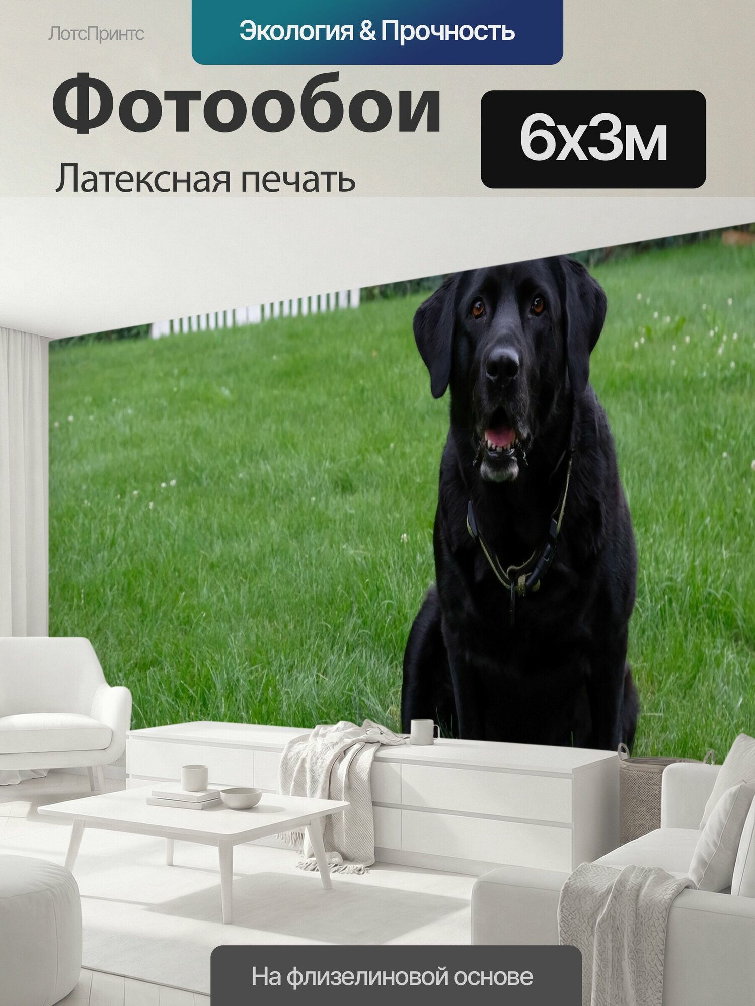 Фотообои моющиеся ударопрочные "Собака, лабрадор, чернить" 600x300 см. латексная печать