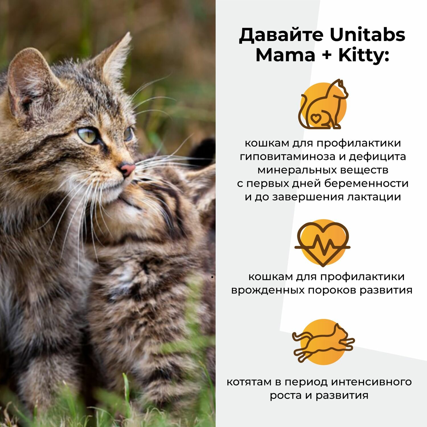 Витамины для беременных и кормящих кошек и котят паста Unitabs Mama+Kitty 120 мл — фото 1