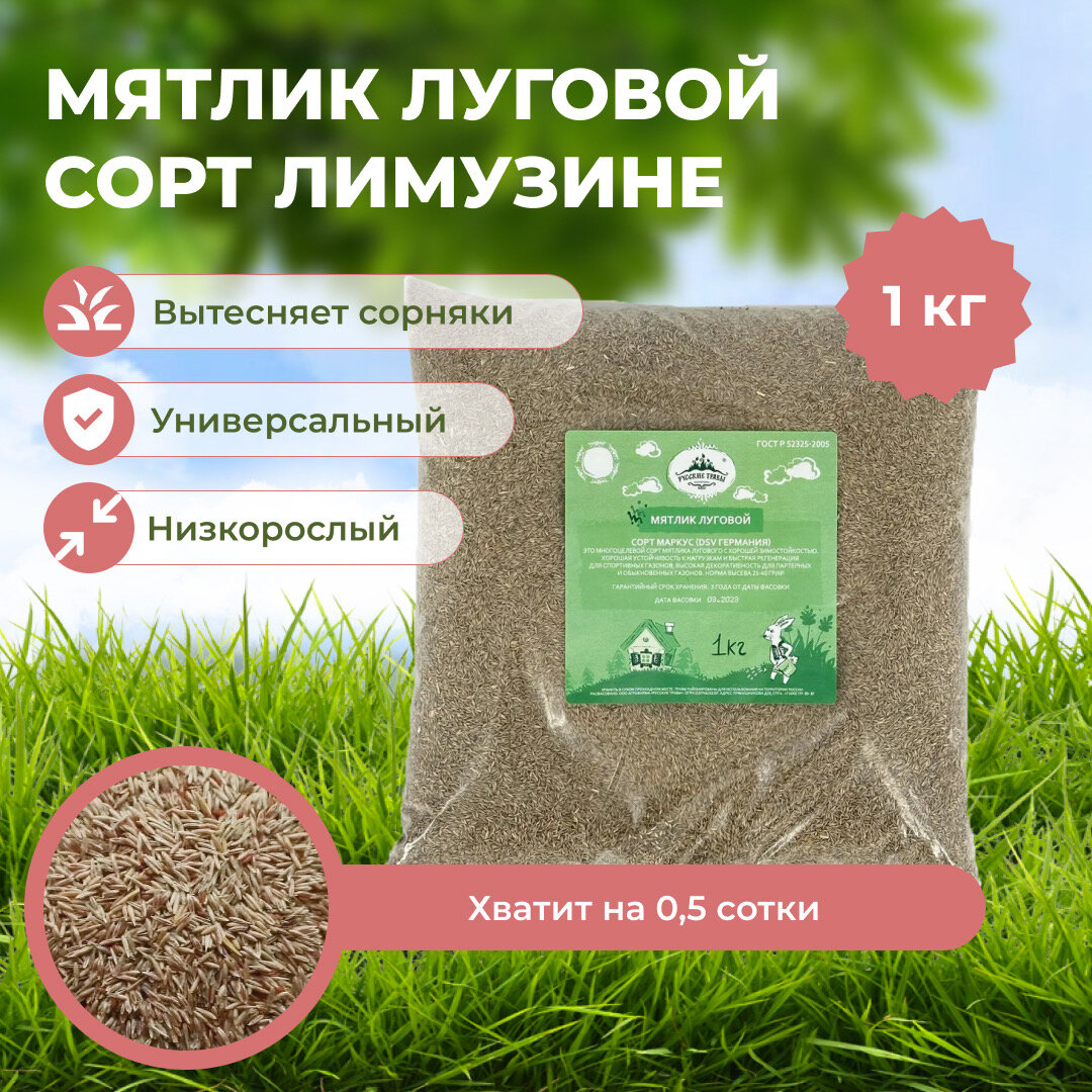 Мятлик луговой Лимузине (1 кг)