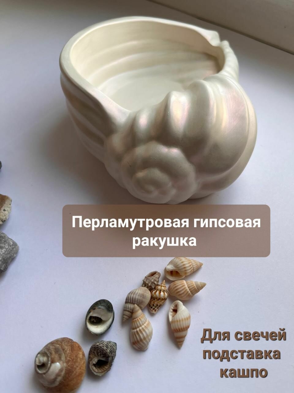 DaryCryma-Гипсовая перламутровая ракушка органайзер кашпо подсвечник