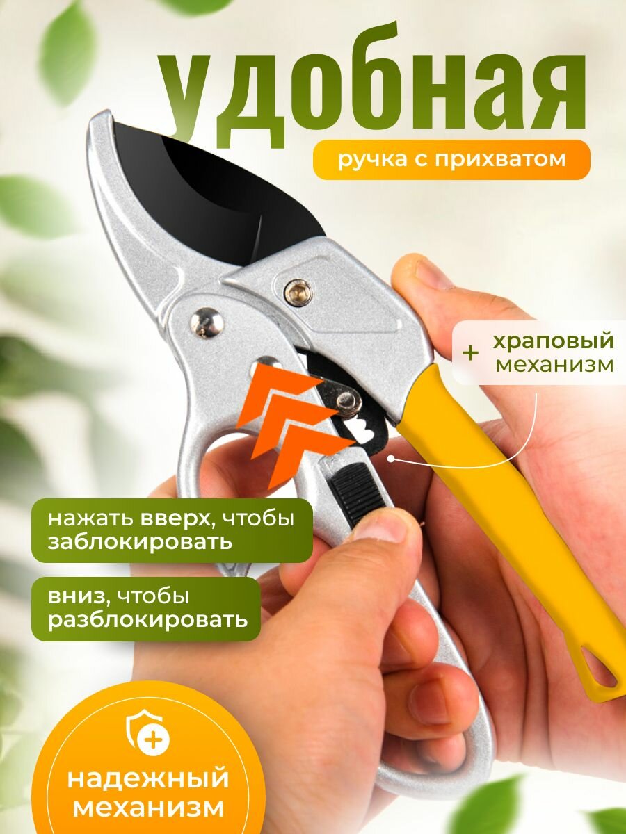Секатор