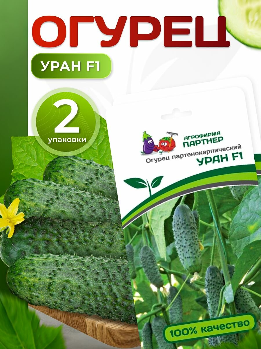 Семена огурец Уран