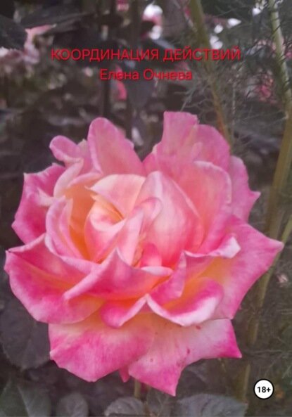 Координация действий [Цифровая книга]