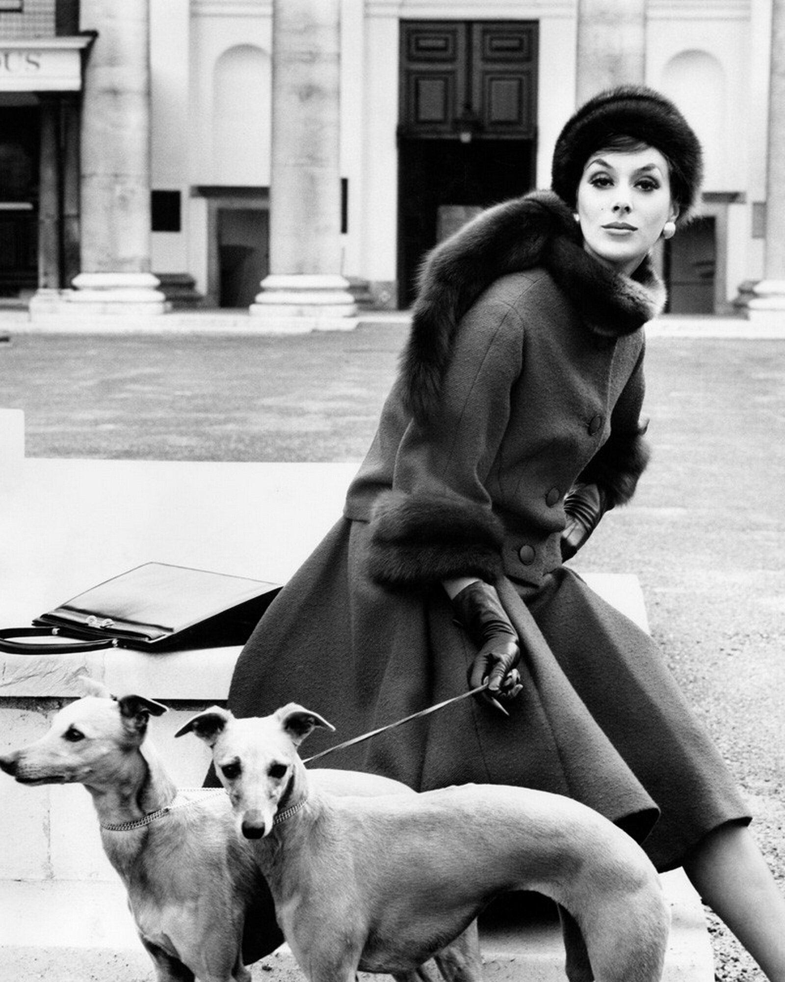 Плакат, постер Мода 60-х: Борзые и барокко на бумаге, размер 21х30см