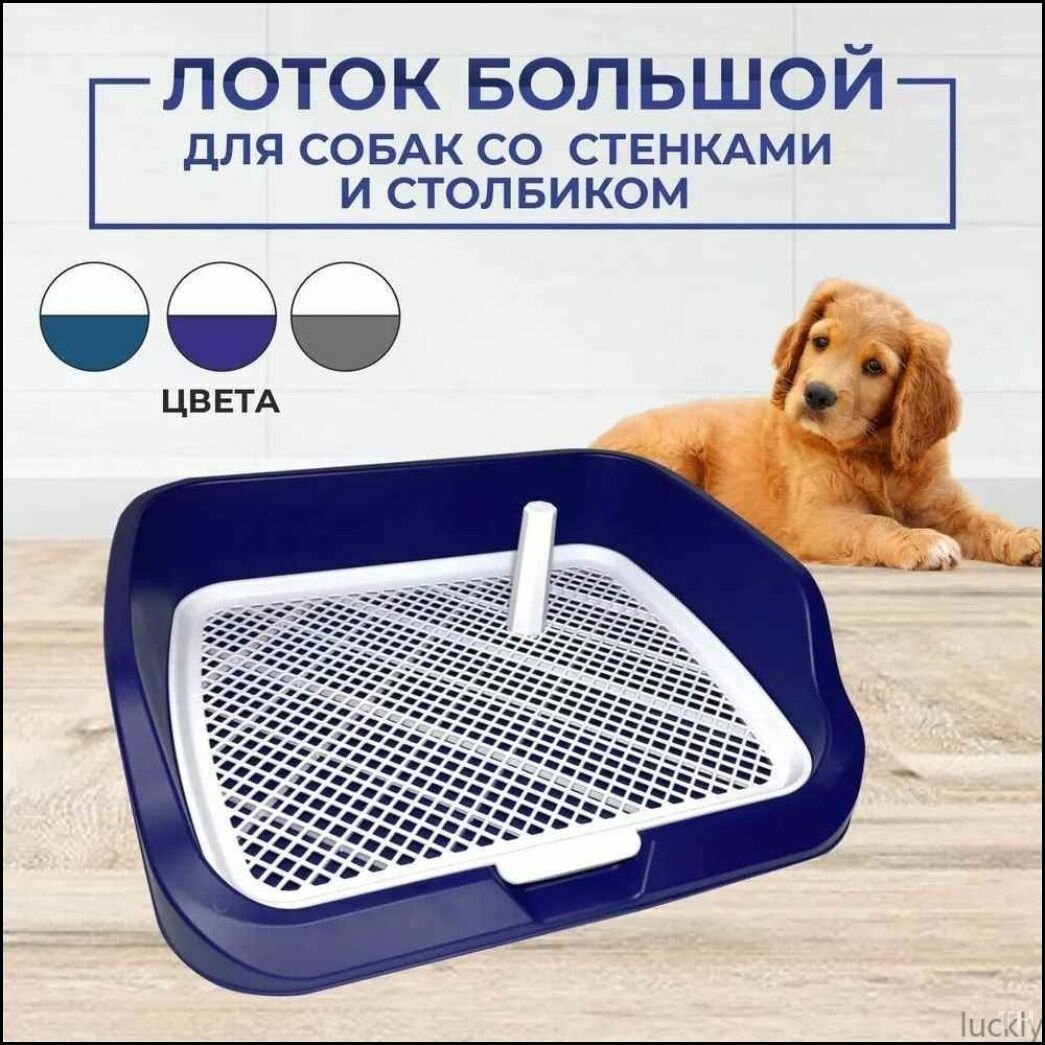 Бестселлер для туалета собак с эксклюзивным столбиком