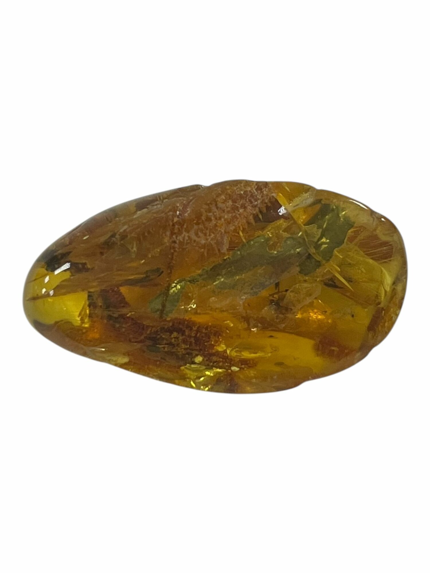 Янтарный камень с насекомым внутри