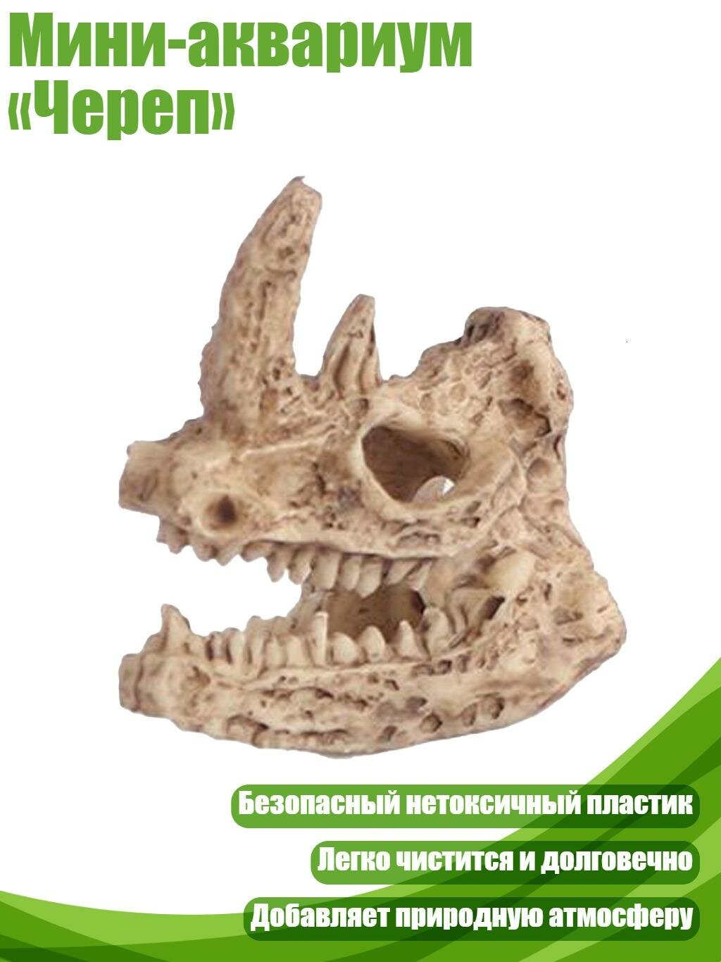 Мини-аквариум «Череп», 2