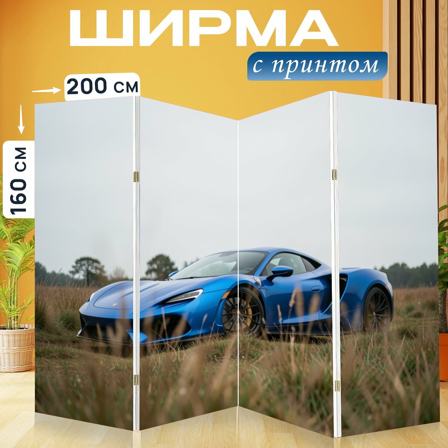 Ширма "Синий спорткар на лугу. Элегантное купе ярко-лазурного оттенка среди высокой сухой растительности под." перегородка для зонирования комнаты с принтом 200x160 см. на холсте