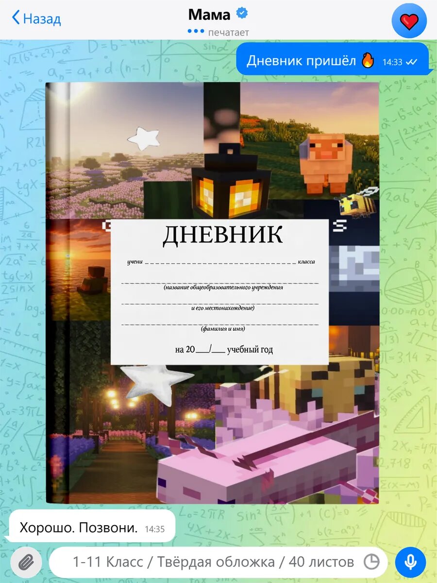 Школьный дневник с принтом Майнкрафт