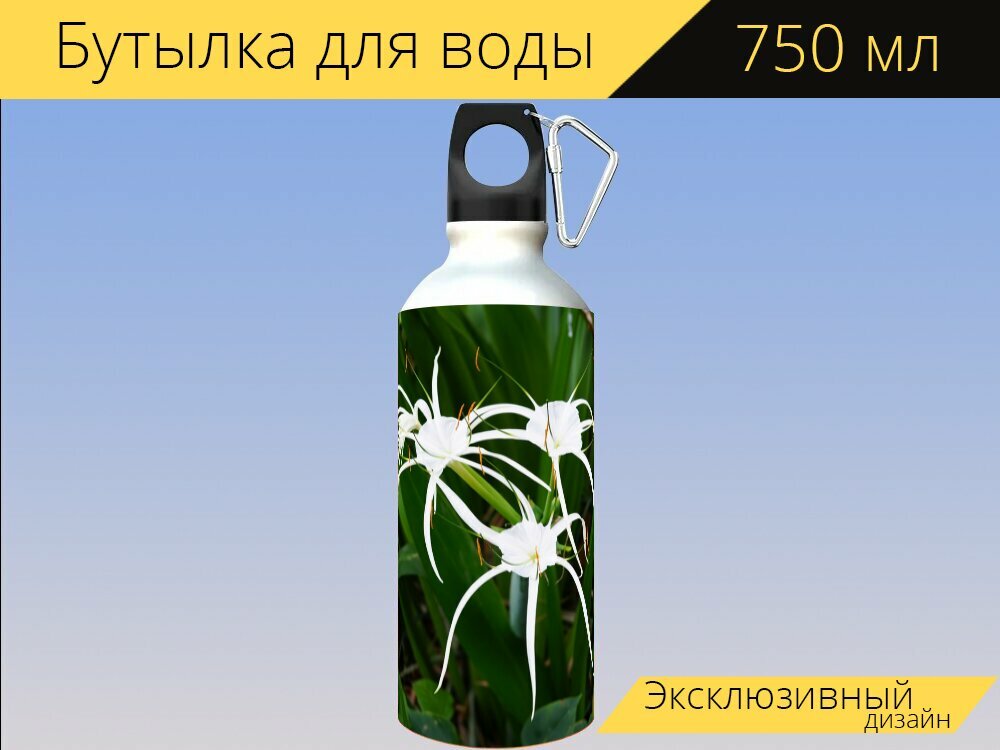 Бутылка фляга для воды "Пляж паучьи лилии, лилия паука, белый" 750 мл. с карабином и принтом