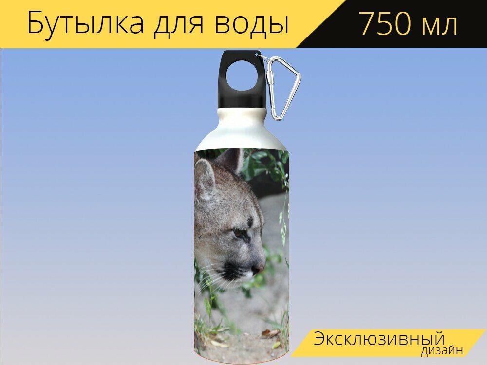 Бутылка фляга для воды "Пума, большой кот, животное" 750 мл. с карабином и принтом