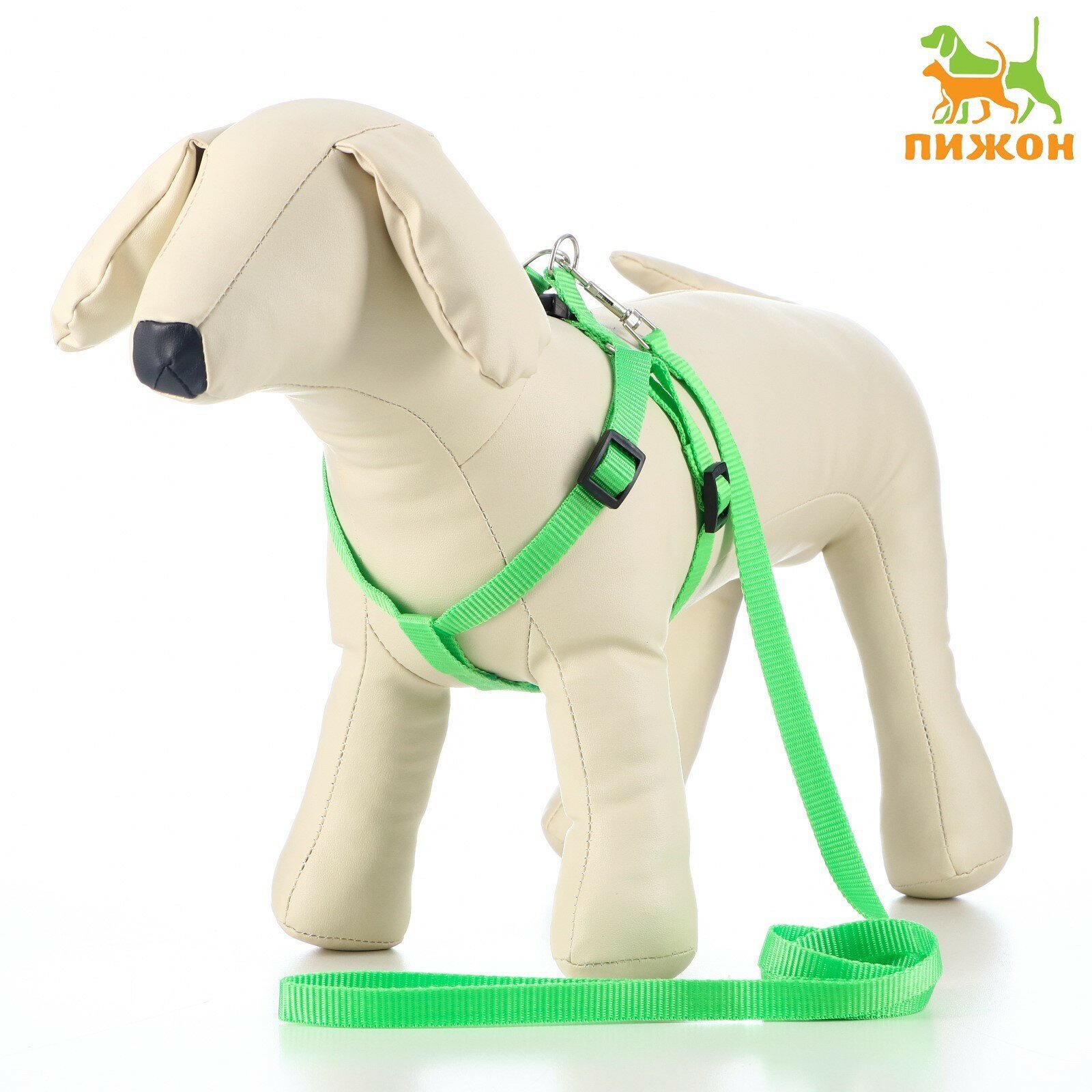 Шлейка с поводком «Базис», 32-46×1.5 см, поводок 120×1.5 см, зелёная