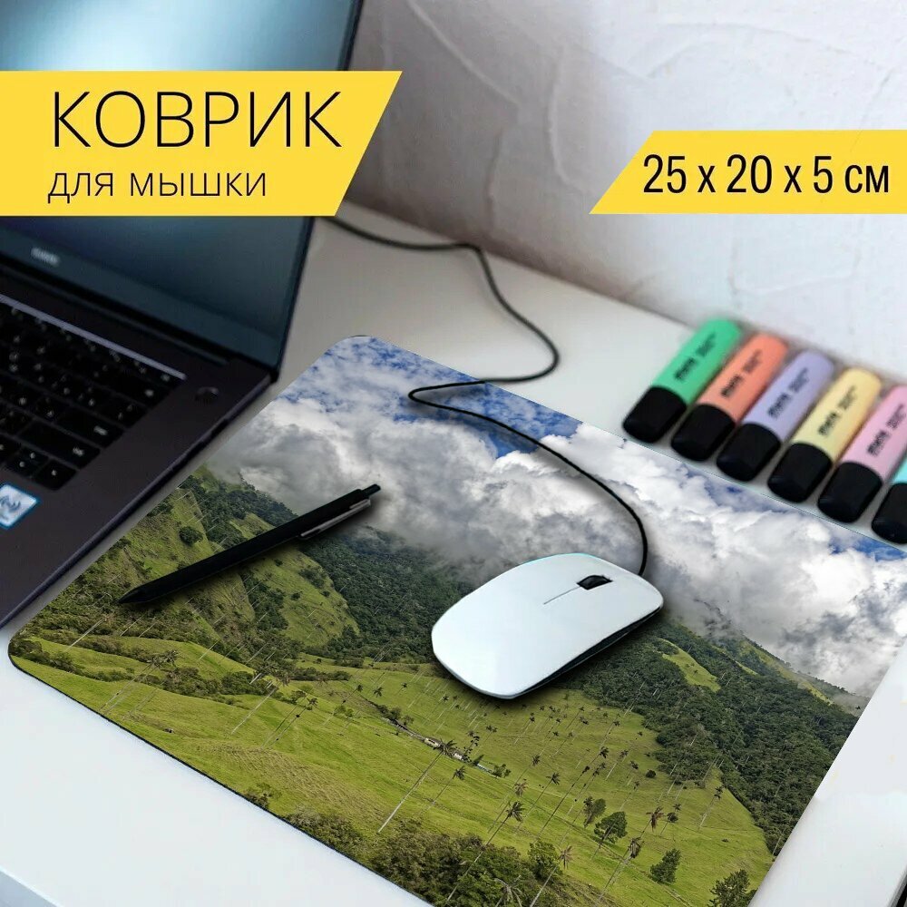 Коврик для мыши с принтом "Колумбия, el bosque de palmas, пальмы" 25x20см.