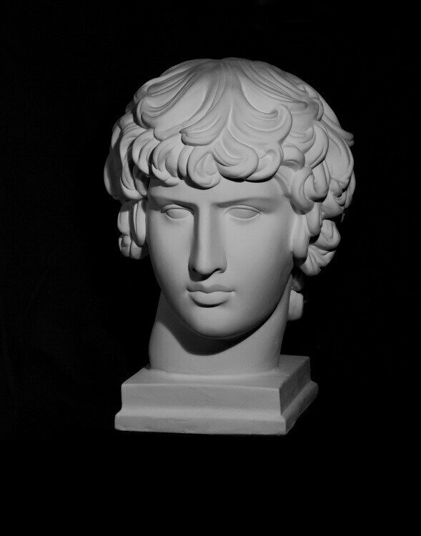 Голова Антиноя, h=40 см, Экорше, артикул 10-102