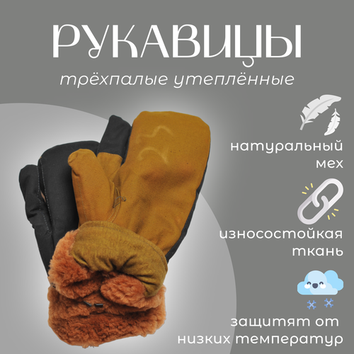 Рукавицы зимние армейские, трехпалые, овчина — купить в интернет ...