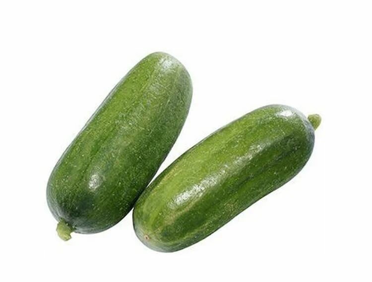 Коллекционные семена огурца Все гладко F1