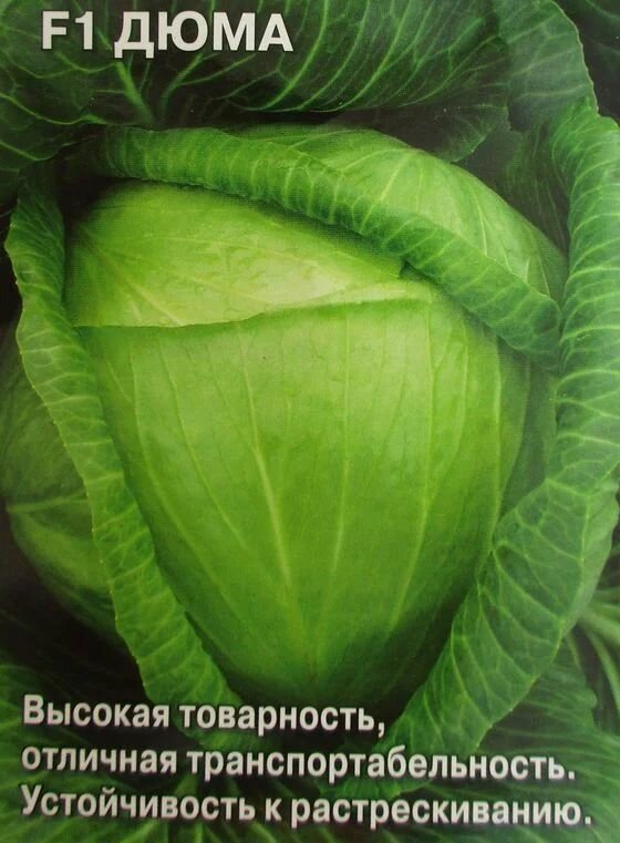 Коллекционные семена капусты б/к Дюма F1