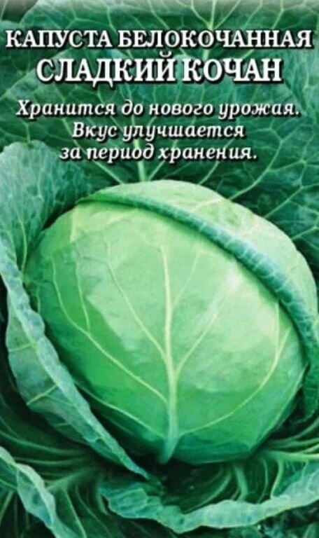 Коллекционные семена капусты б/к Сладкий кочан