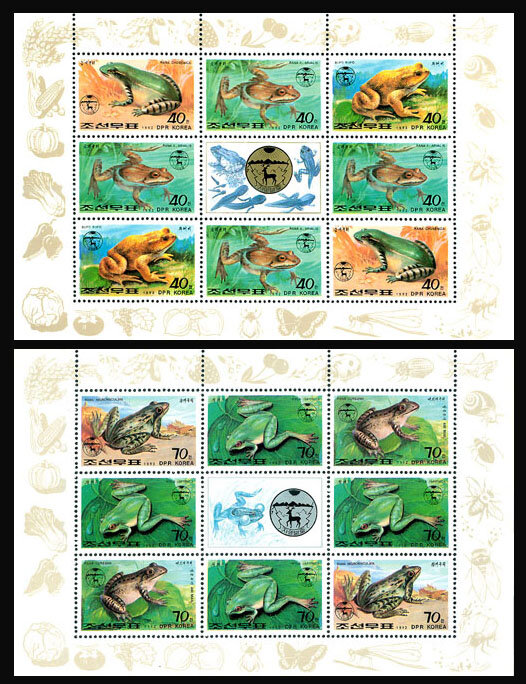 Почтовые марки Северная Корея 1992г. "Лягушки" Лягушки MNH