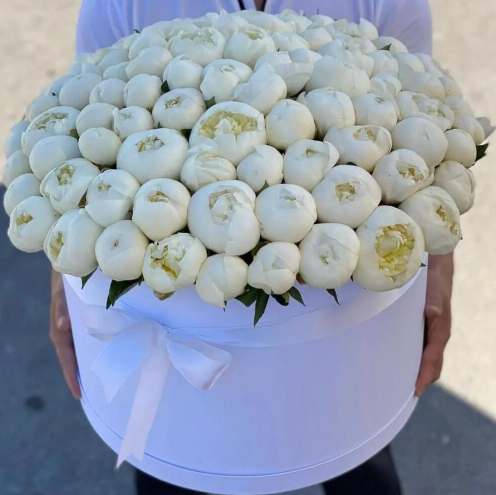 Пионы белые в коробке