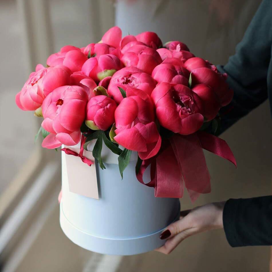 Премиум букет из коралловых пионов в коробке, премиум цветы, шикарный, красивый букет цветов, пионы.