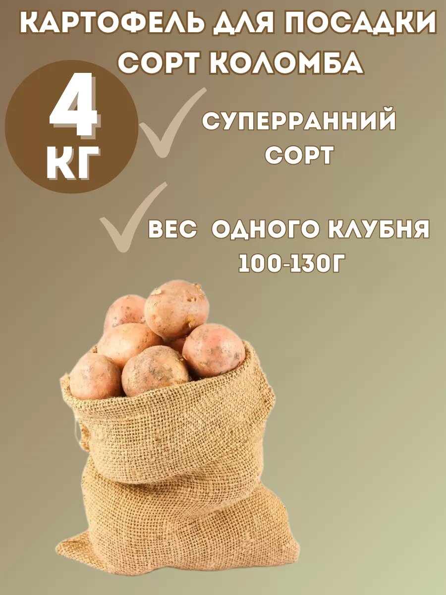 ОгородNIK Картофель семенной "Коломба", сорт среднеранний, 4 кг