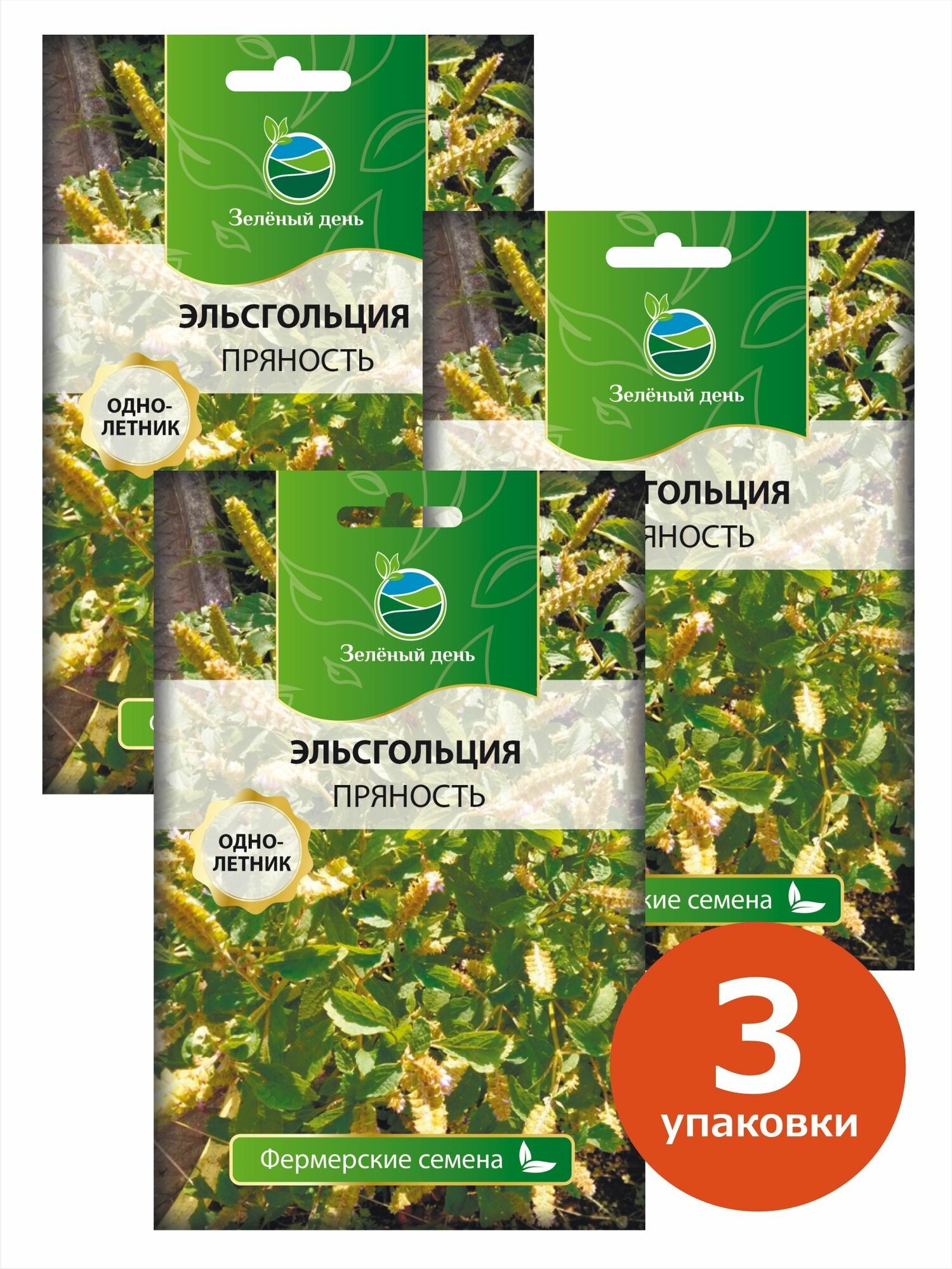 Семена Эльсгольция Пряность "Зеленый день", 3 упаковки по 100 сем.