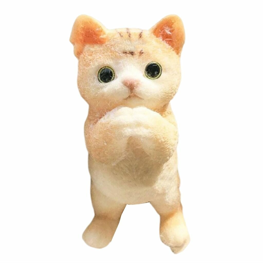 Жирный кот, щиплющий музыку