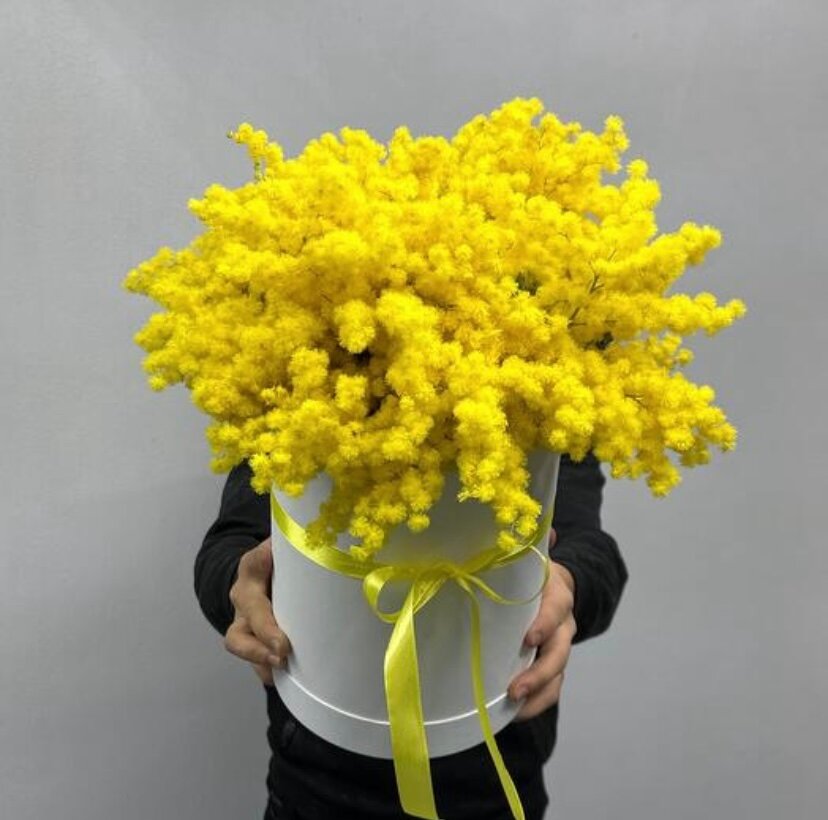 Букет живых цветов, мимоза в коробочке NURA FLOWERS, 9 шт, высота 40 см, флористическая губка