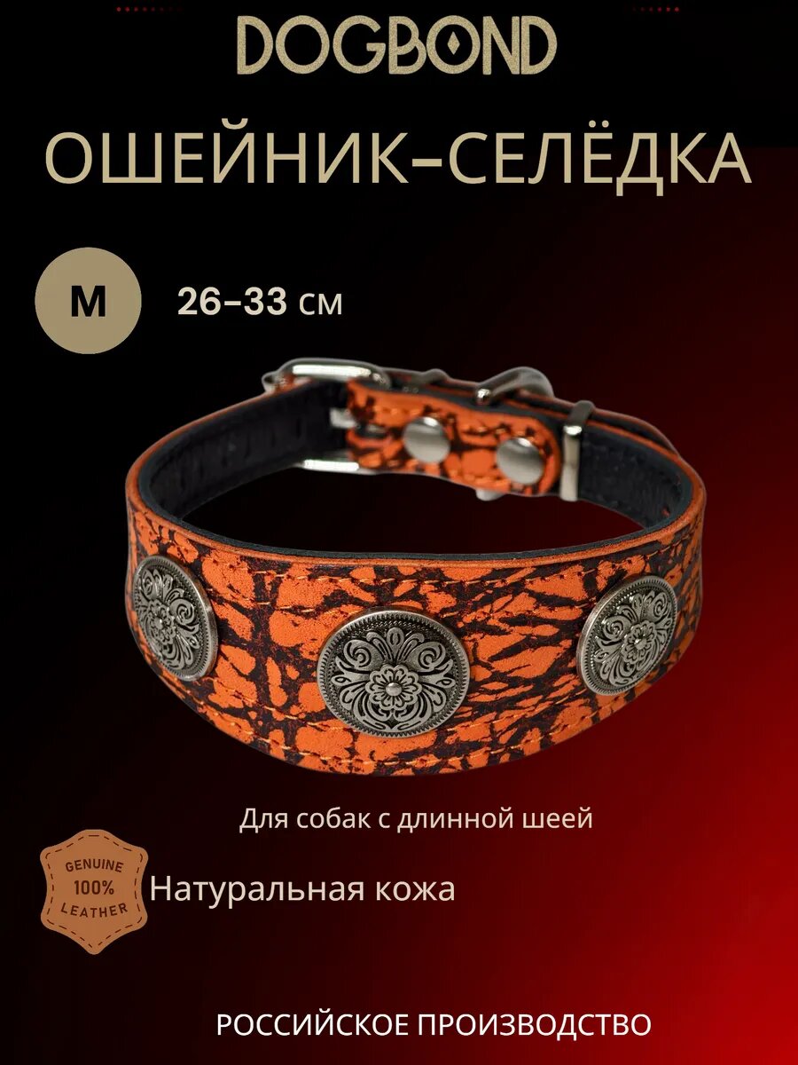 Dogbond ошейник-селедка для левреток и уиппетов