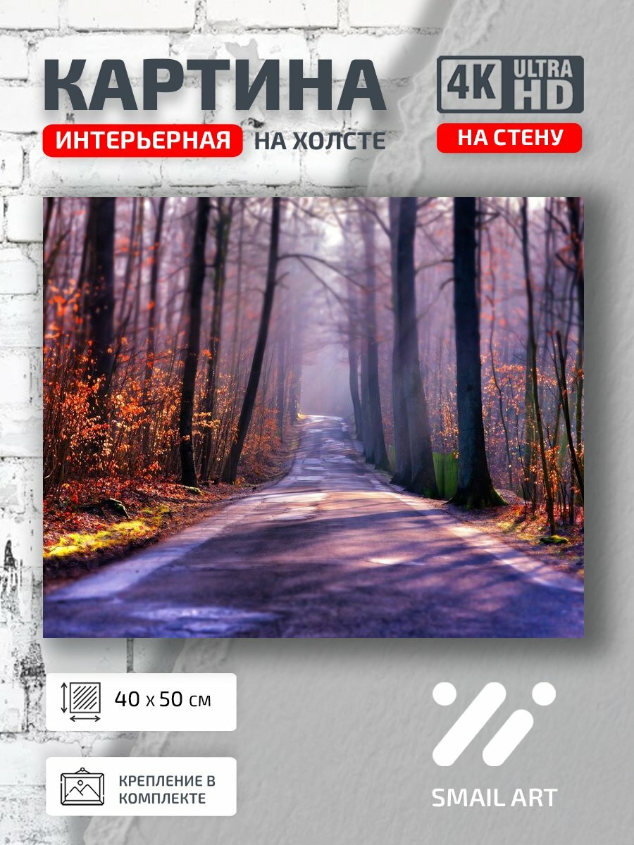 Картина на холсте интерьерная 40 на 50 на стену Дорога forest для гостиной пейзаж интерьер