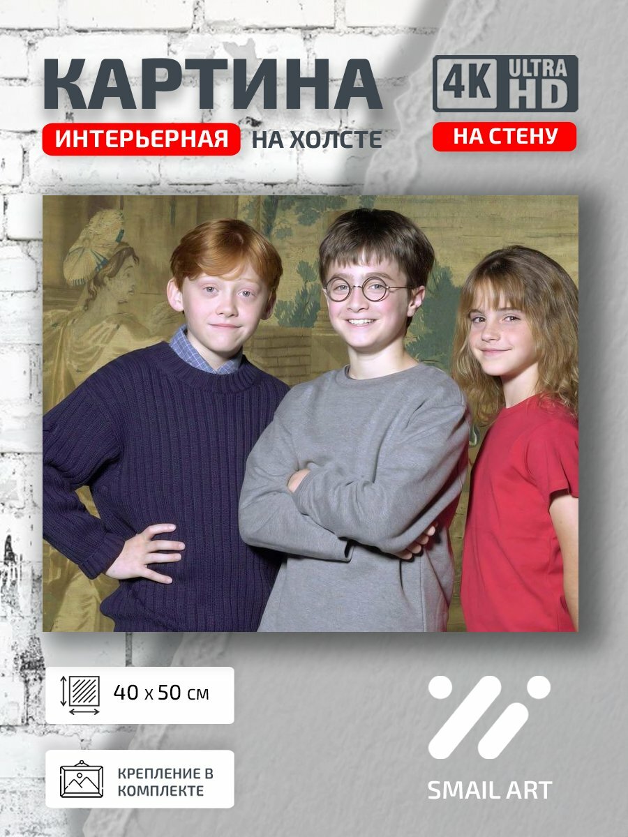 Картина на холсте интерьерная 40 на 50 на стену Поттер Mood для спальни атмосфера интерьер