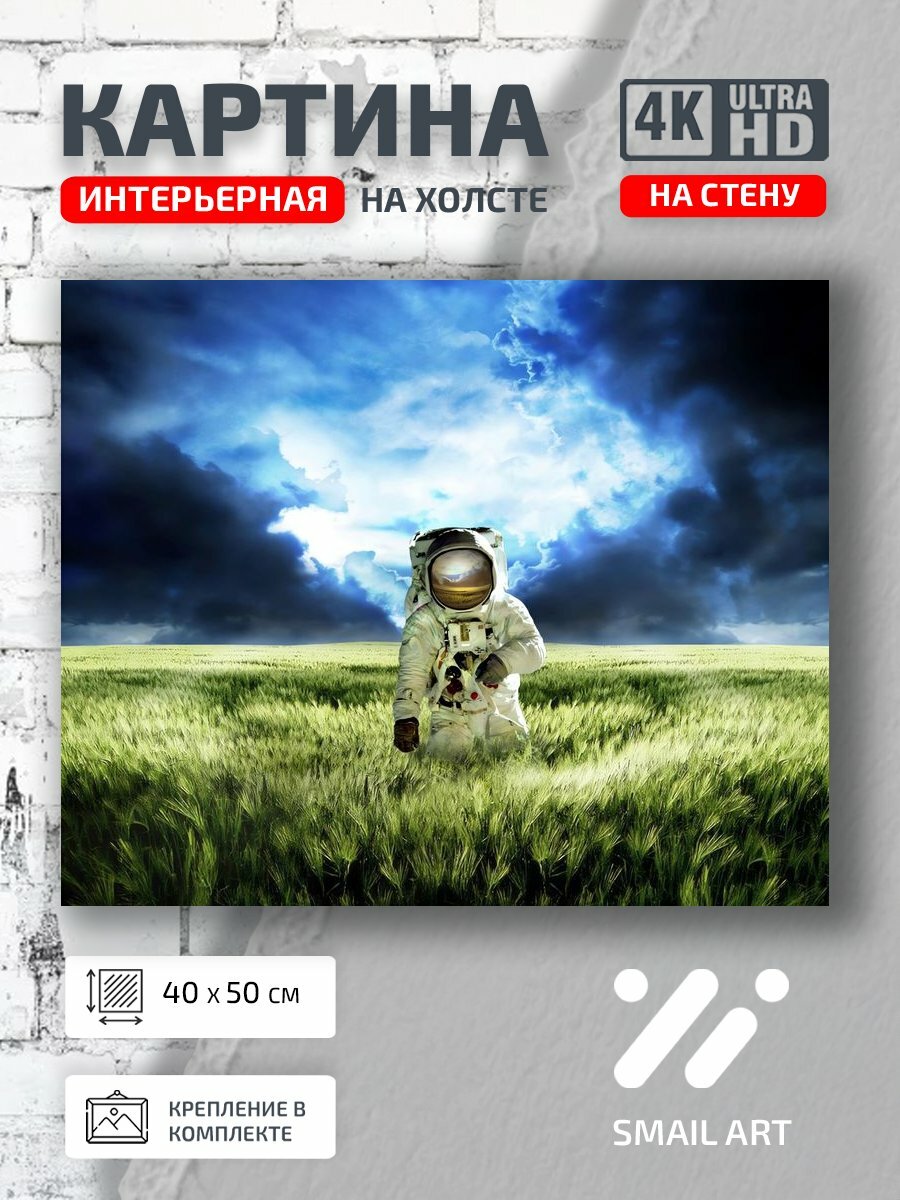 Картина на холсте интерьерная 40 на 50 на стену Космонавт astronaut для офиса космос декор