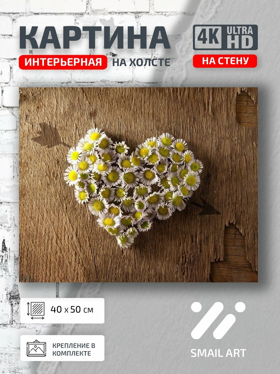 Картина на холсте интерьерная 40 на 50 на стену Ромашки Mood для офиса атмосфера интерьер