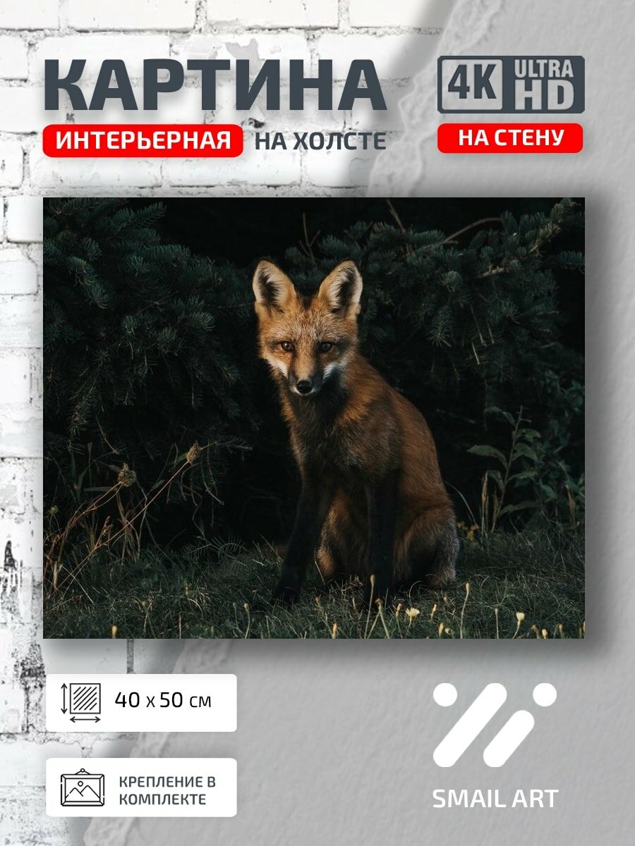 Картина на холсте интерьерная 40 на 50 на стену зеленая трава для кабинета атмосфера