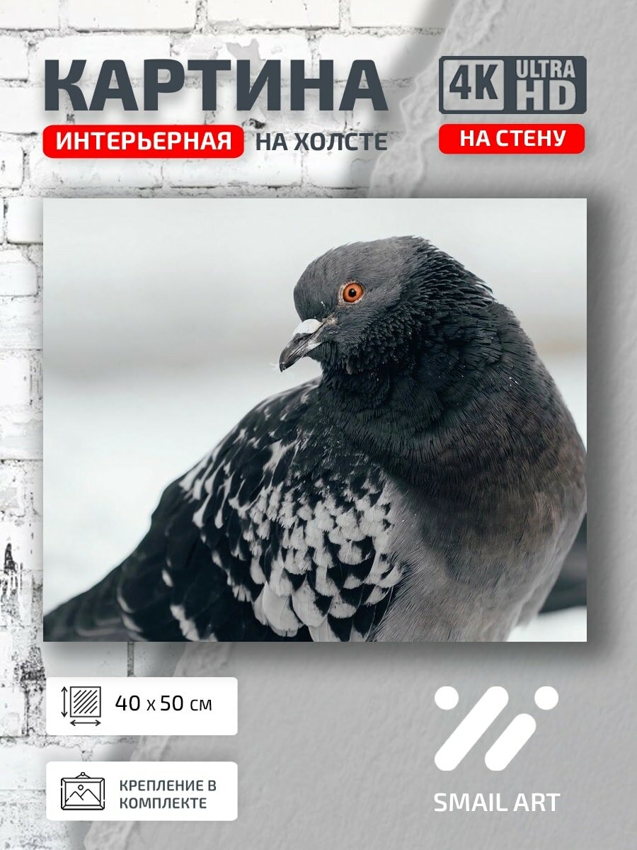 Картина на холсте интерьерная 40 на 50 на стену Птицы Голубь для спальни атмосфера