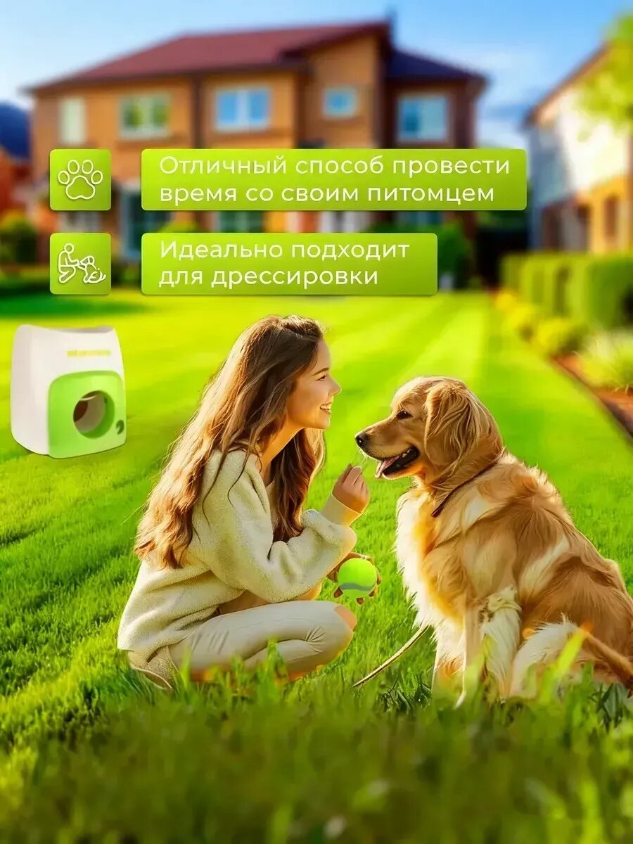 Катапульта для собак автоматическая